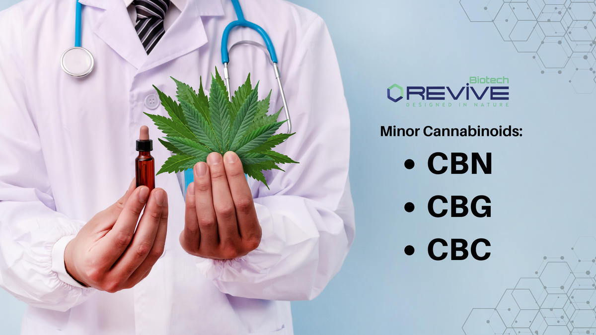 The Power of Minor Cannabinoids in CBD Wellness – Revive Biotech
